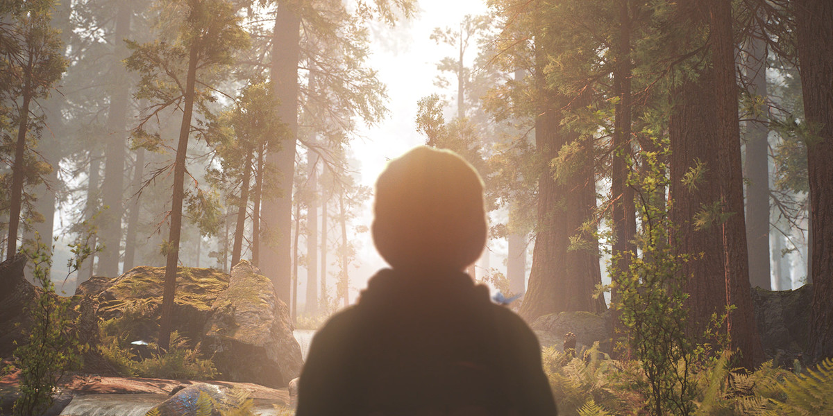 Dimenco – Simulated Reality - Twisted